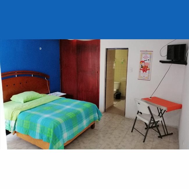 Cuartos Amueblados en Excelente Ubicación - Calle 5ᴮ, Pensiones | Roomgo