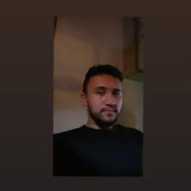 Inquilino - Bogotá - Andrés - Professional - Hombre - 24 | CompartoApto