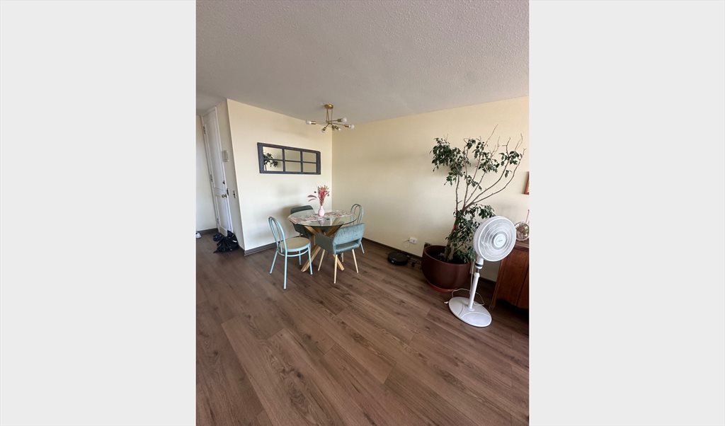 Pieza en arriendo en Avenida Cristóbal Colón, Vaticano - Arriendo pieza ...