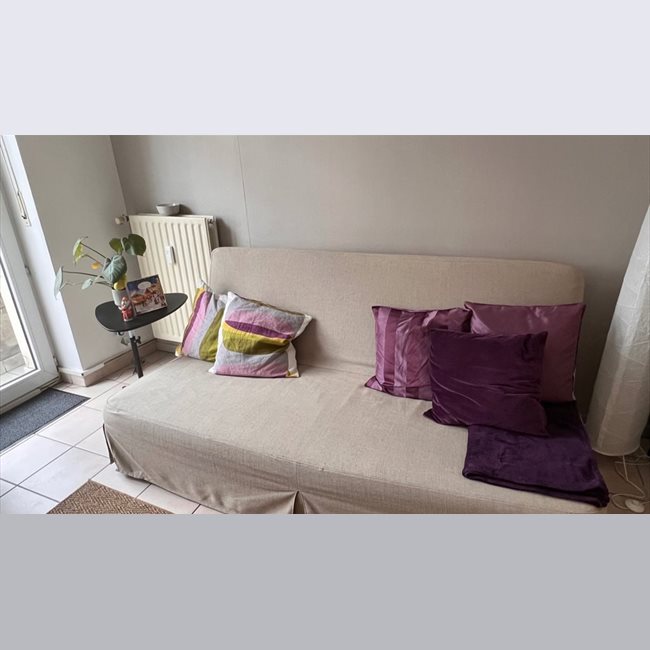 Colocation à Rue de Strasbourg, Gare - Ideal for young professionals ...